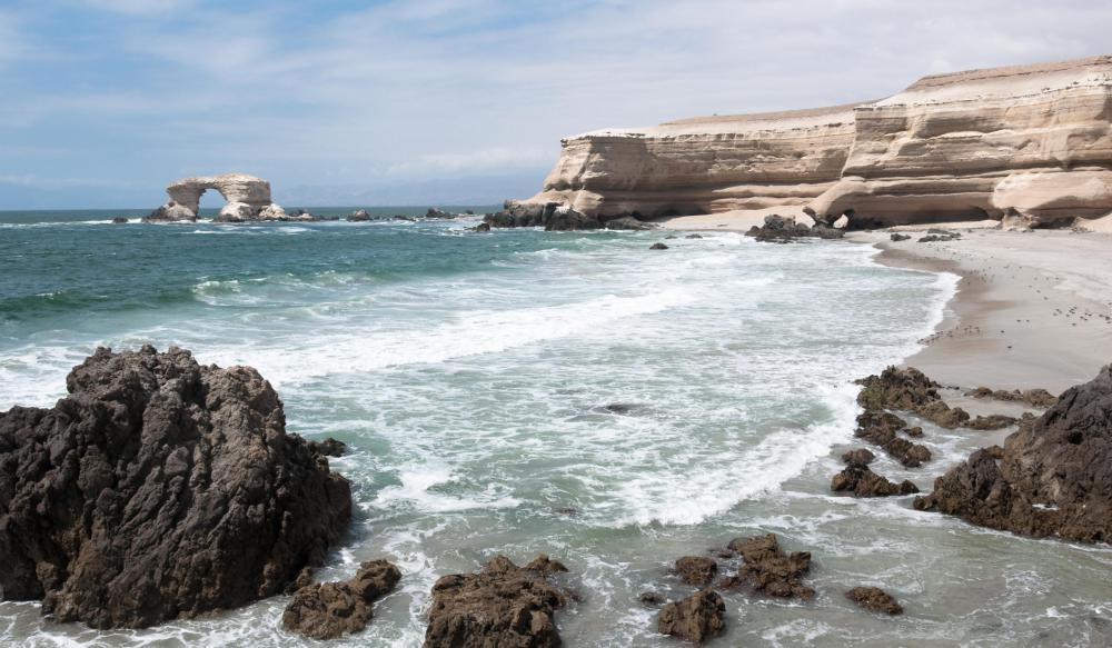 What Is Caldillo De Congrio? (with pictures)