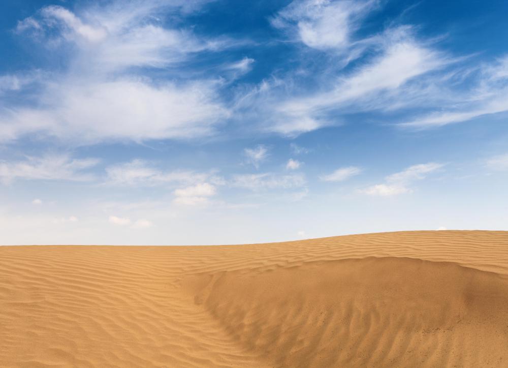 What Is Fat Choy? (with pictures)