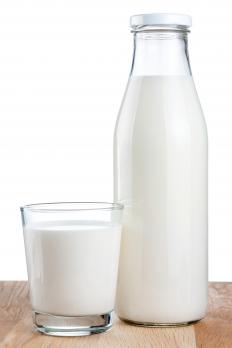 What Is Kosher Milk? (with picture)