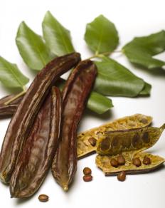 What is Carob? (with pictures)
