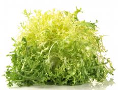 What is Frisee? (with pictures)