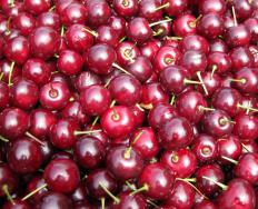 What is a Morello Cherry? (with pictures) (with pictures)