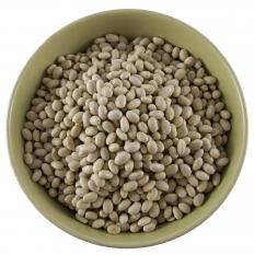 What are Haricot Beans? (with pictures)