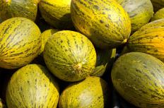 How Do I Choose the Best Santa Claus Melon? (with pictures)