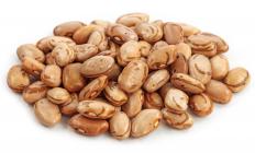 What are Rattlesnake Beans? (with pictures)