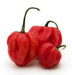 What is a Pimiento? (with pictures)